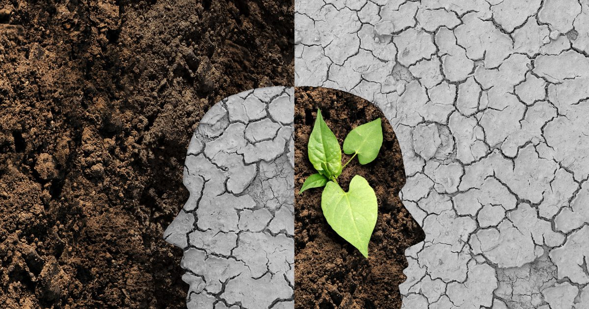 How do we cultivate sustainable and enduring mental health ...