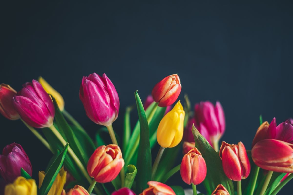 Evangelical Alliance | Together making Jesus known since 1846