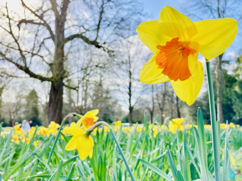 St. David's Day is an opportunity for the church to reflect and connect ...