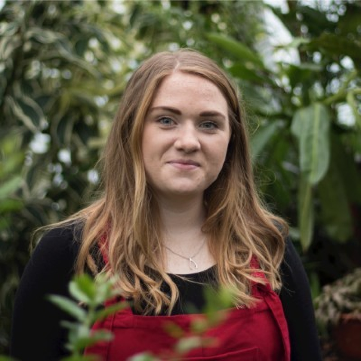 Laura Young - Evangelical Alliance